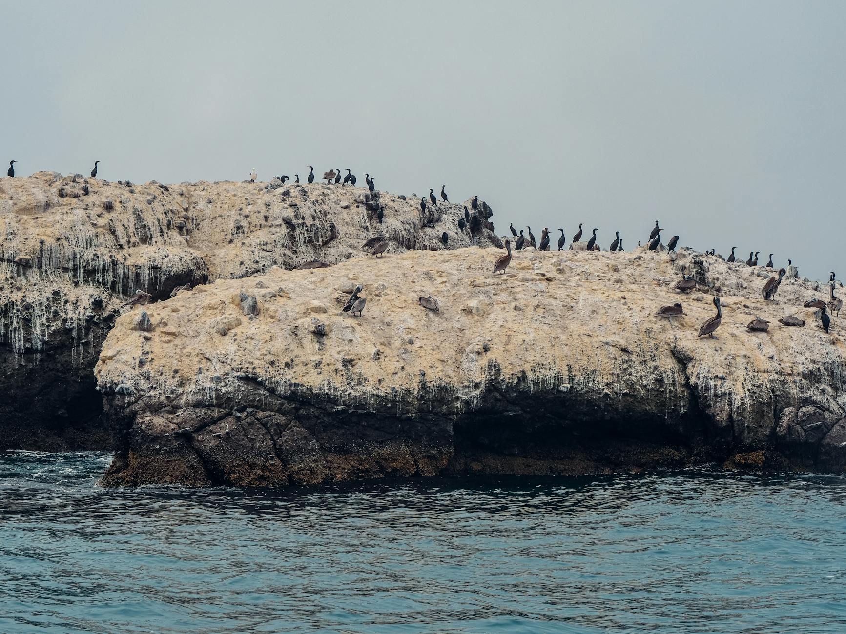 Cotele apelor Dunării PDF zilnic – arhivă pentru România - Ai advertising